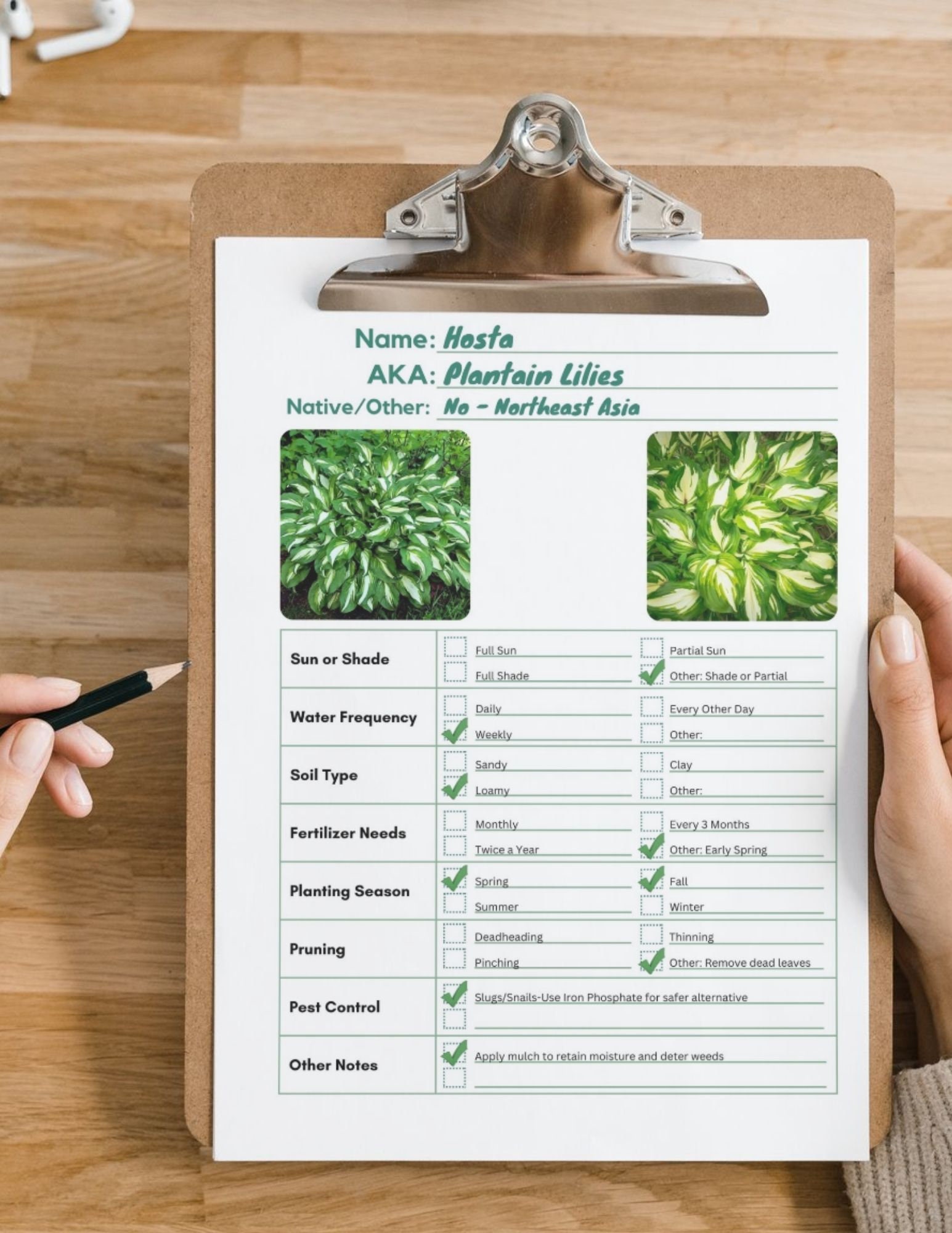 Plant & Flower Identification Template - Editable on Canva - Printable ...