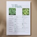 Plant & Flower Identification Template - Editable on Canva - Printable ...