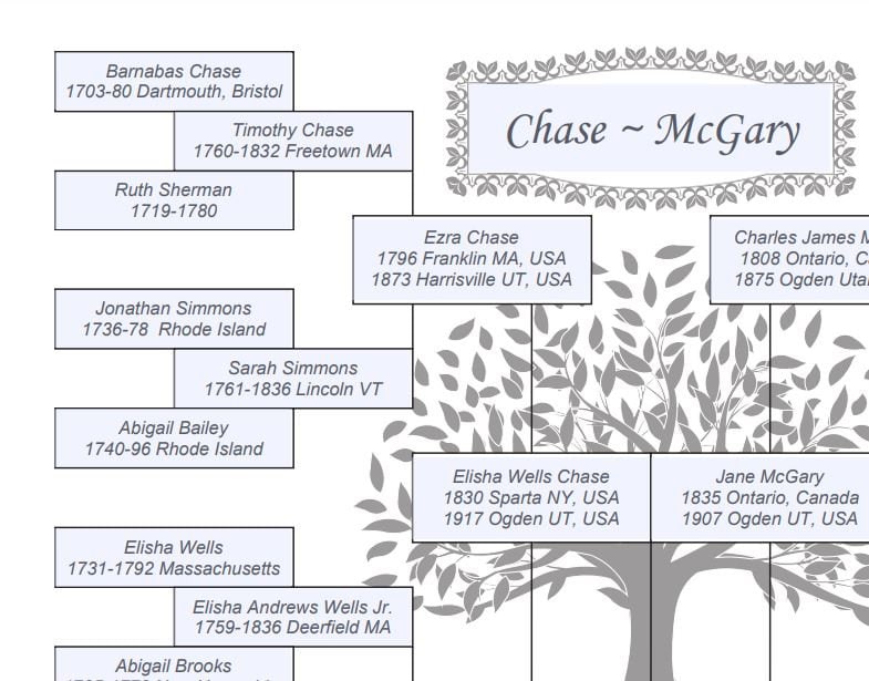 Five Generation Family Tree (DIY) 8-1/2x11 PDF Template (paper White ...