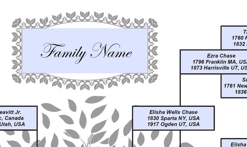 Six Generation Family Tree (DIY) 18x24 PDF Template (paper White) - Etsy