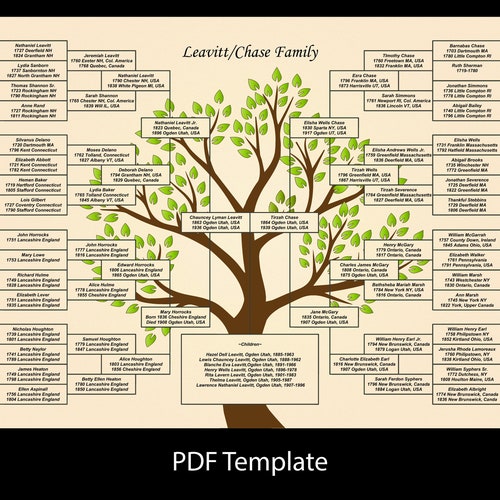 Six Generation Family Tree DIY 18x24 PDF Template green - Etsy