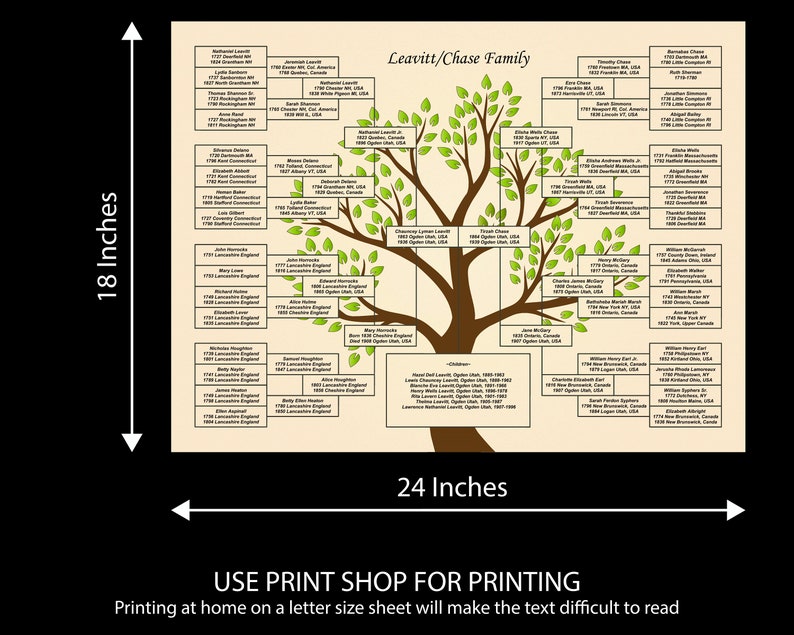 Six Generation Family Tree (DIY) 18x24 PDF Template (green Leaf) - Etsy