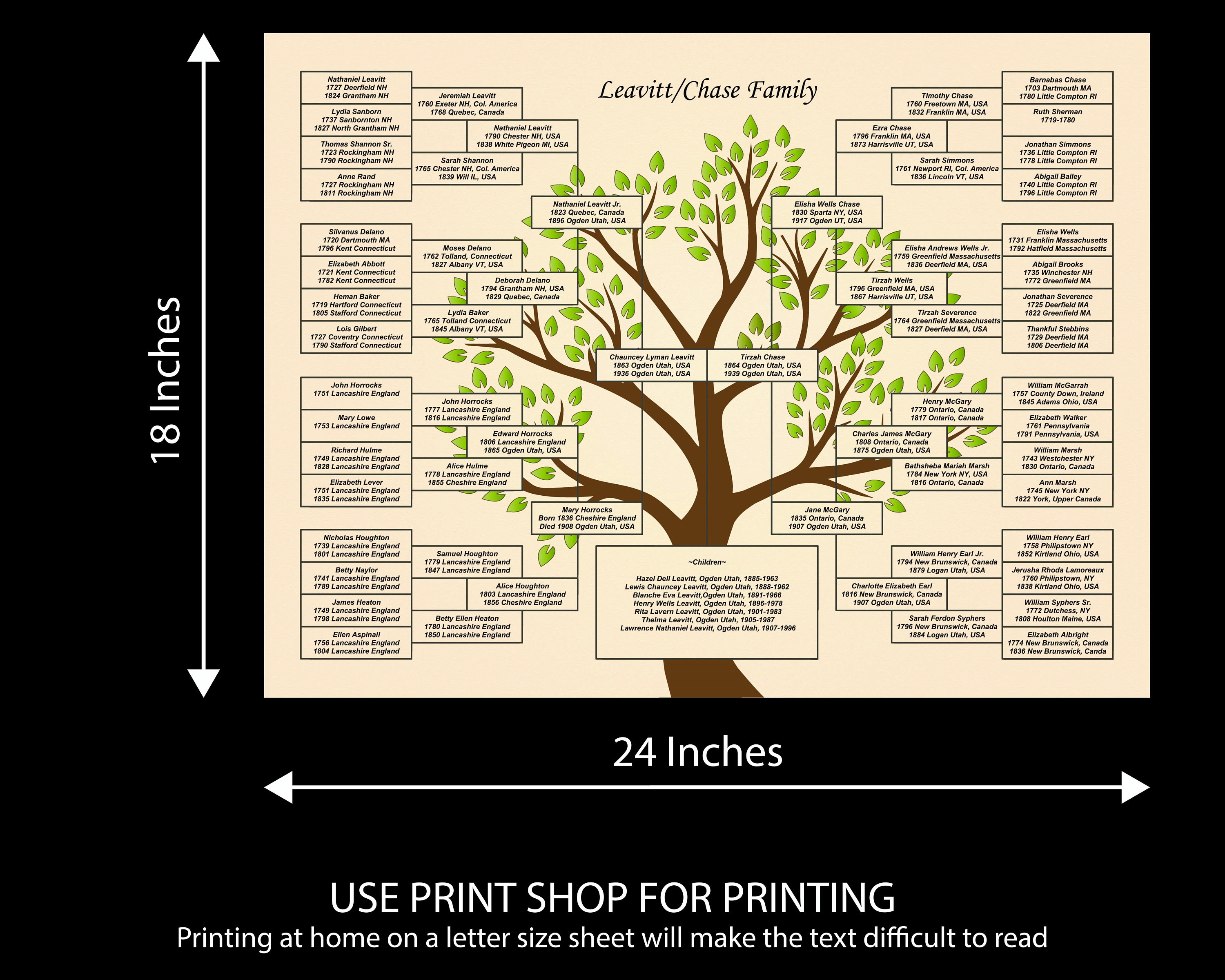 Six Generation Family Tree (DIY) 18x24 PDF Template (green Leaf) - Etsy