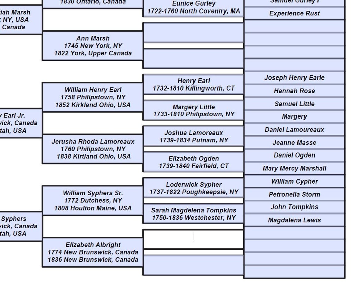8 Generation Family Tree DIY 24x36 PDF Template paper - Etsy