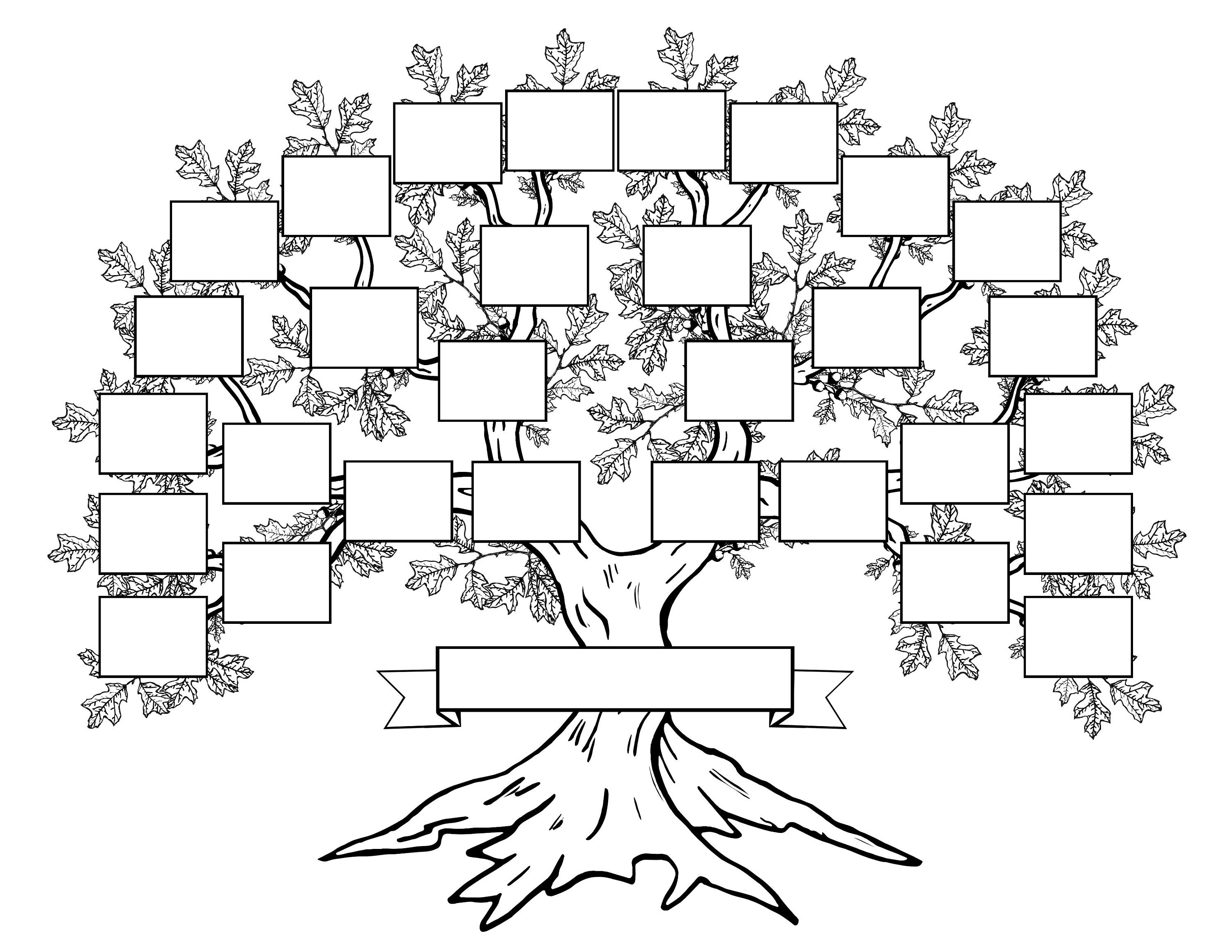 Five Generation Family Tree (DIY) 16x20 Inch Fillable PDF Template - Etsy
