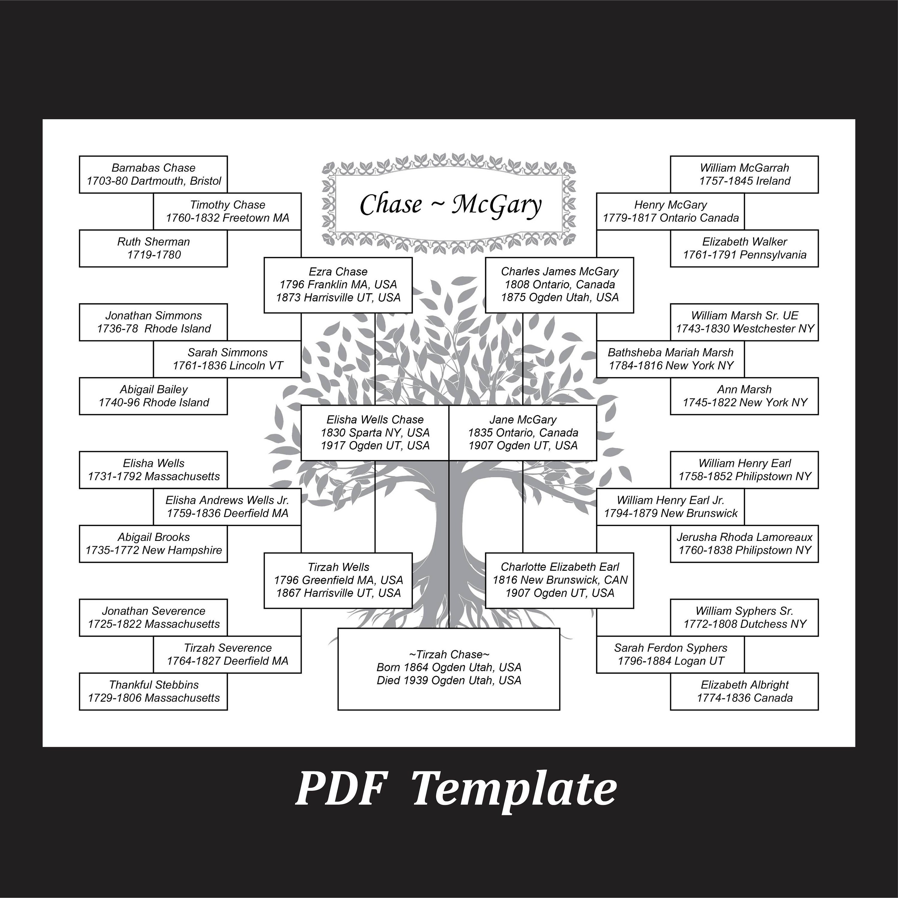 Five Generation Family Tree (DIY) 8-1/2x11 PDF Template (paper White ...