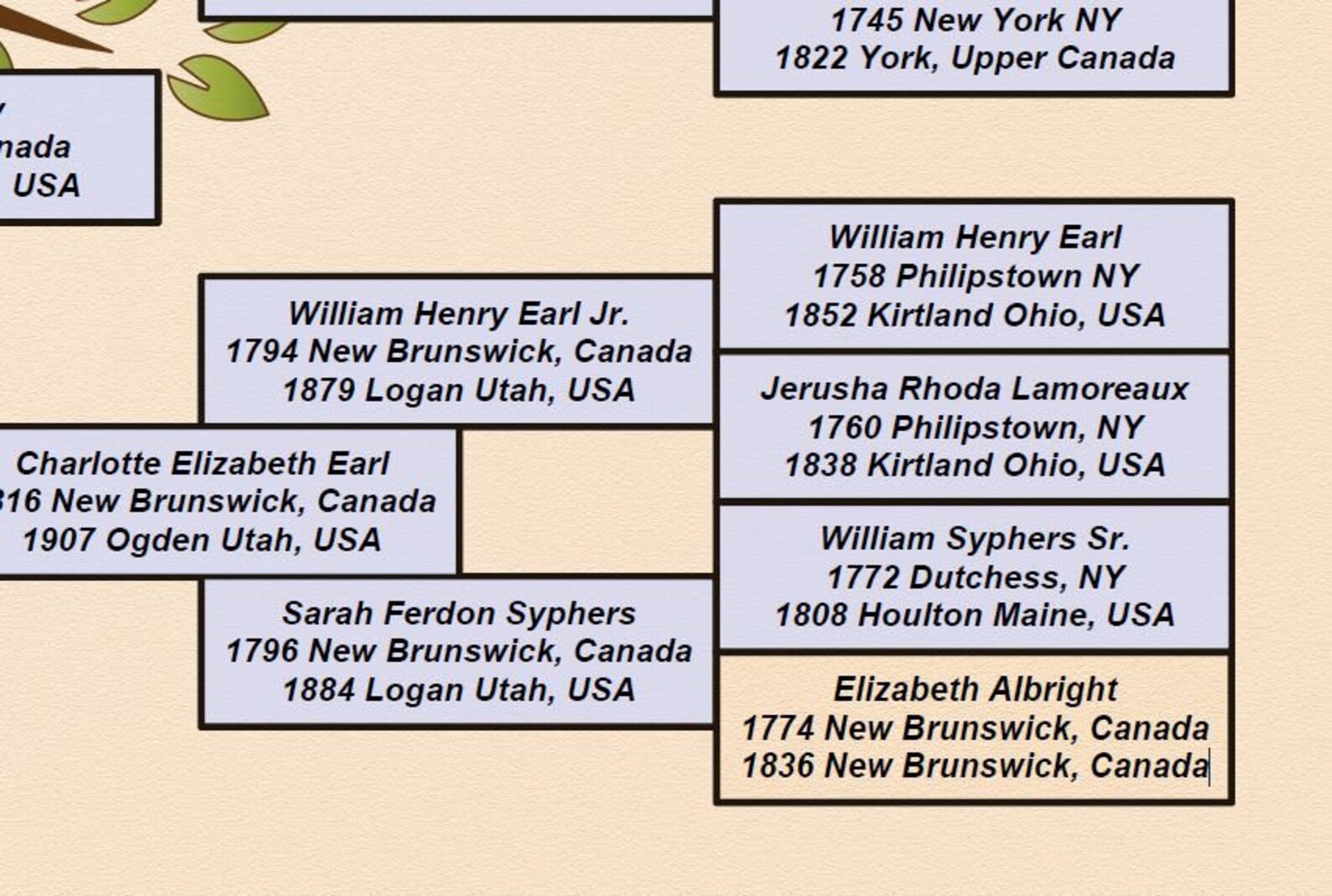 Six Generation Family Tree (DIY) 18x24 PDF Template (green Leaf) - Etsy