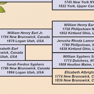 Six Generation Family Tree (DIY) 18x24 PDF Template (green Leaf) - Etsy