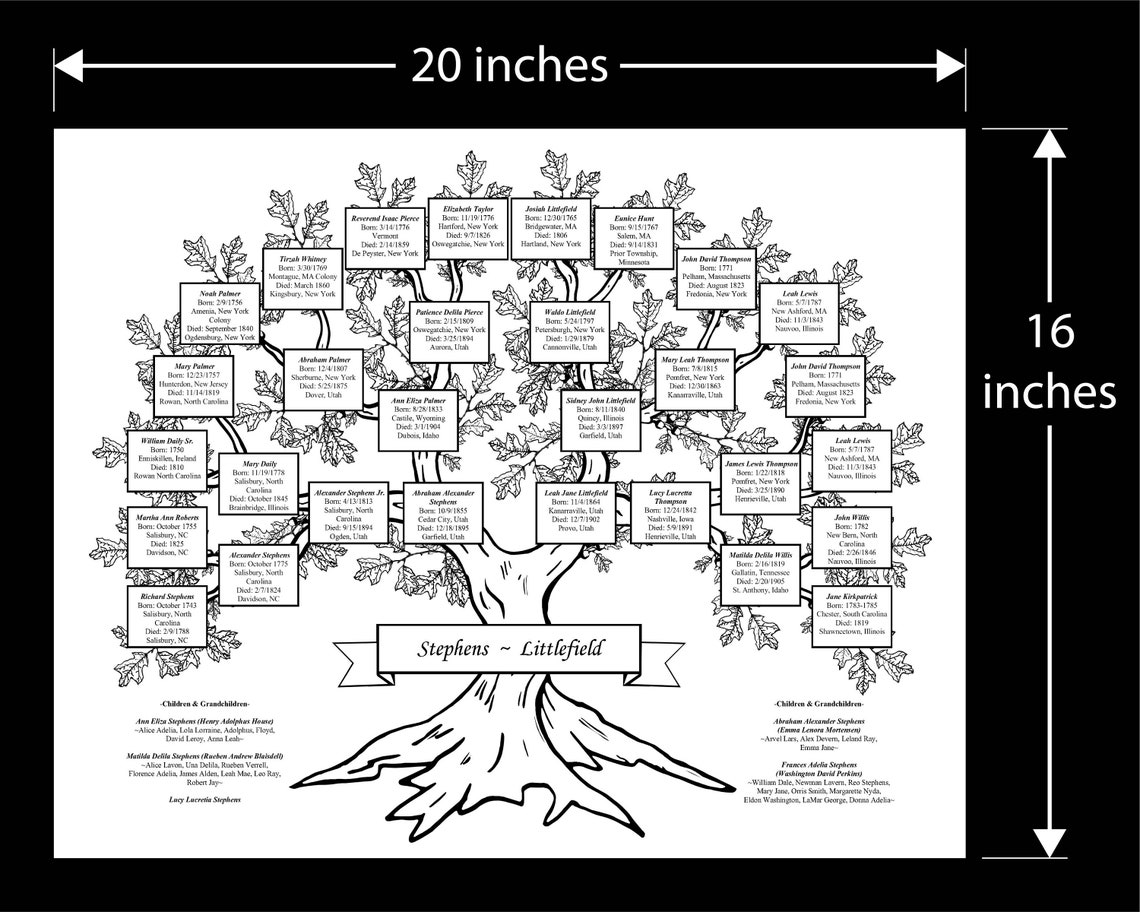Five Generation Family Tree (DIY) 16x20 Inch Fillable PDF Template - Etsy