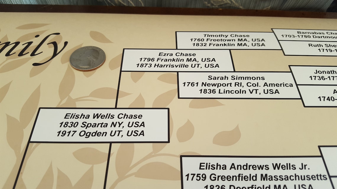 Six Generation Family Tree DIY 18x24 PDF Template tan - Etsy Canada