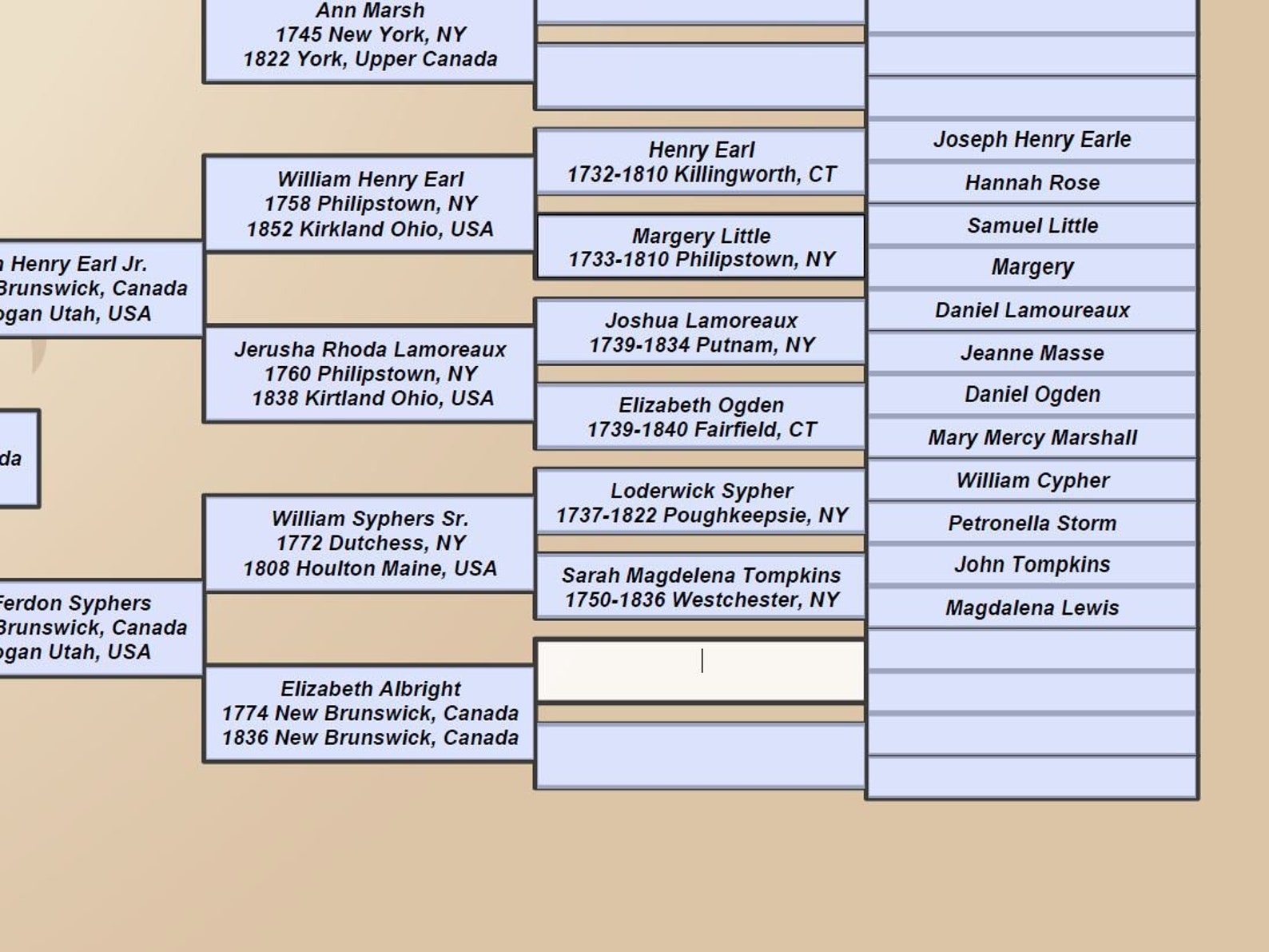8+ Generation Family Tree (DIY) 24x36 PDF Template - Etsy