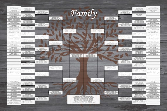 7 Generation Family Tree Template