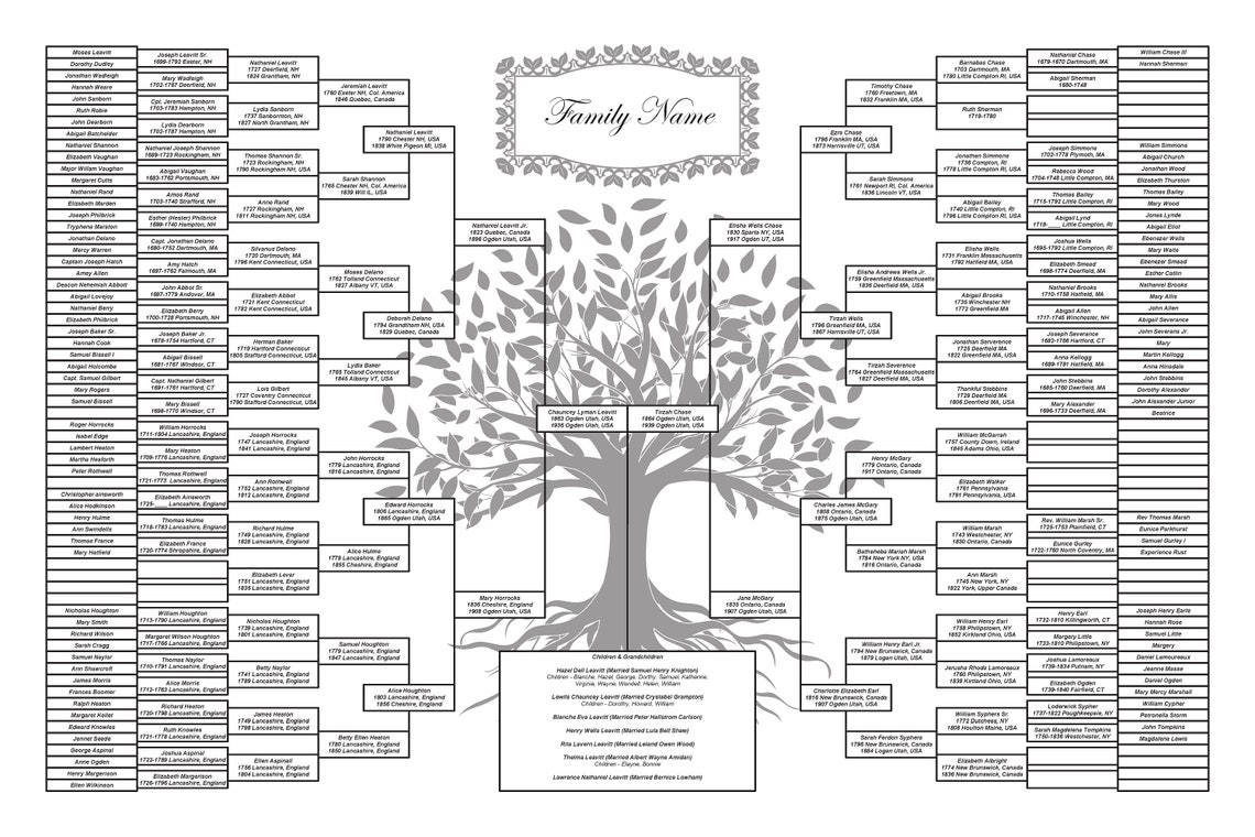 8+ Generation Family Tree (DIY) 24x36 PDF Template (paper White) - Etsy