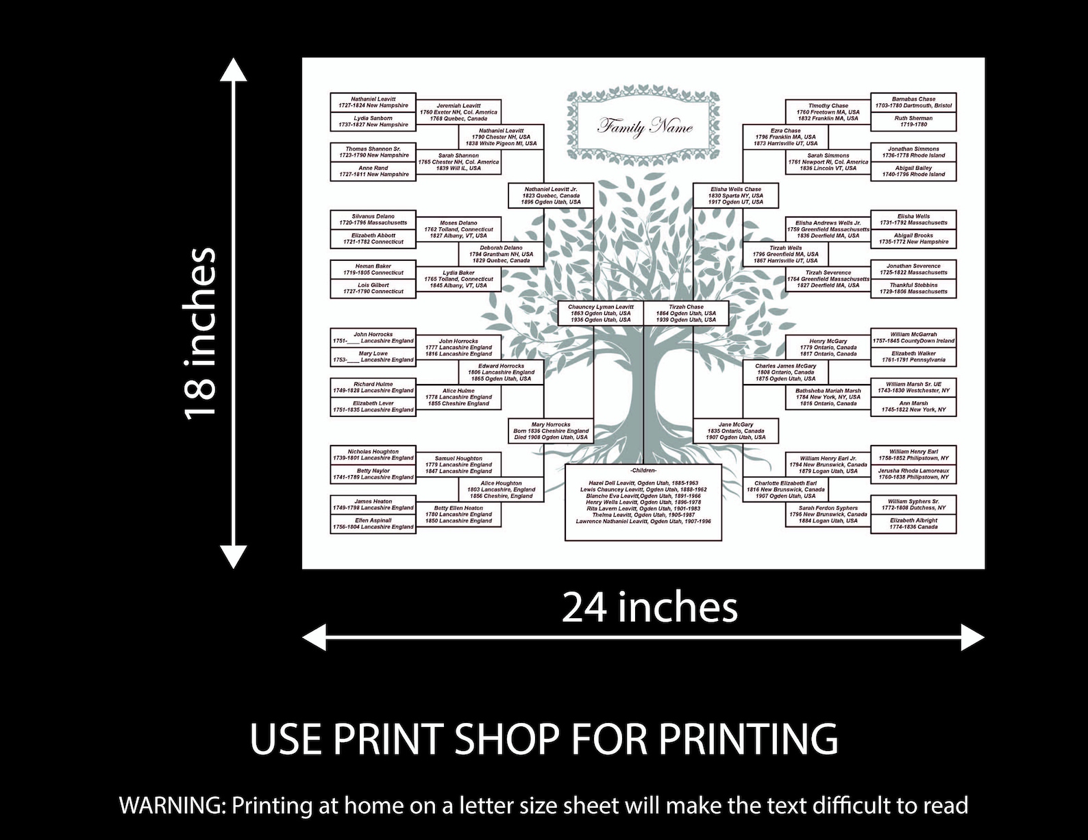 Six Generation Family Tree (DIY) 18x24 PDF Template (paper White) - Etsy