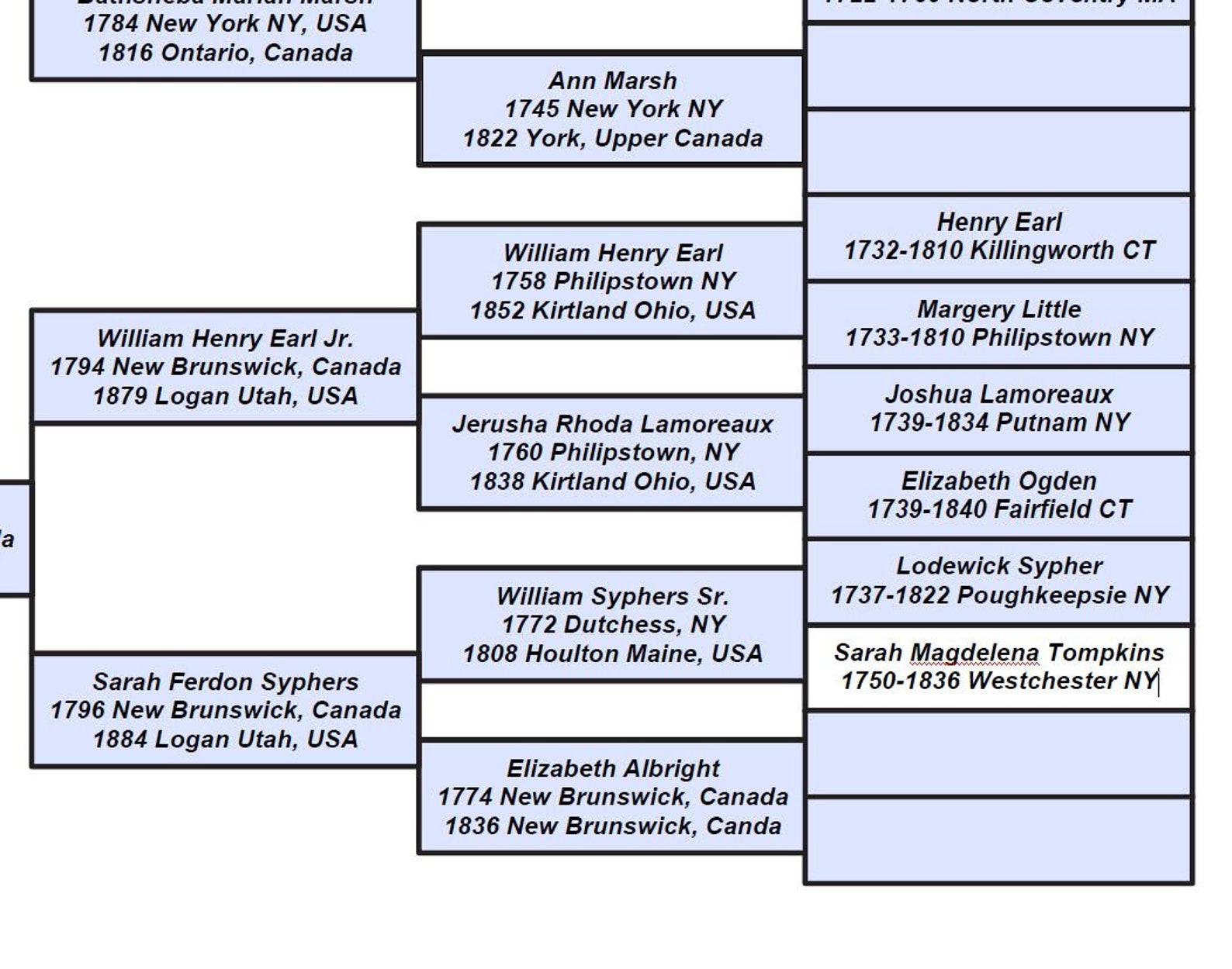 Seven Generation Family Tree DIY 24x36 PDF Template paper White - Etsy
