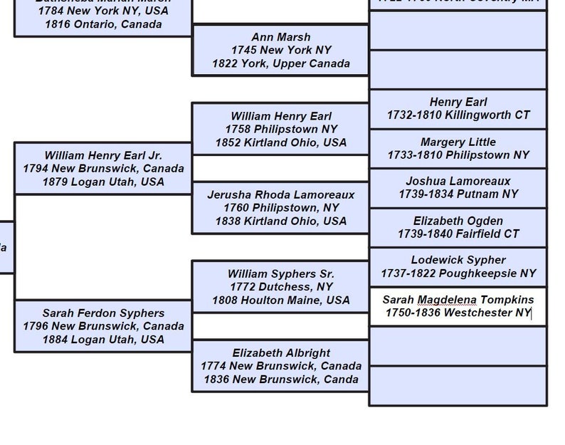 Seven Generation Family Tree (DIY) 24x36 PDF Template (paper White) - Etsy