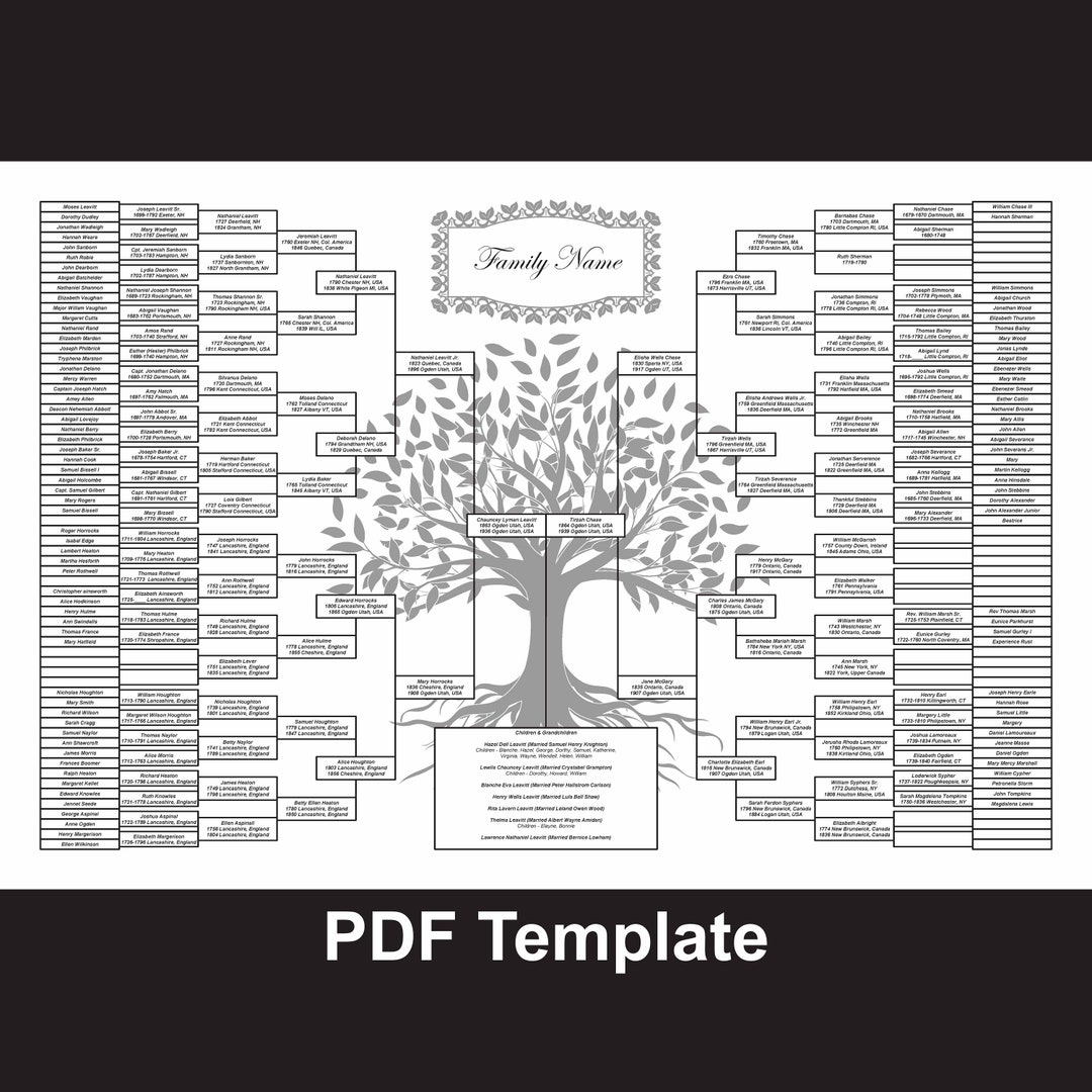 8+ Generation Family Tree (DIY) 24x36 PDF Template (paper White) - Etsy