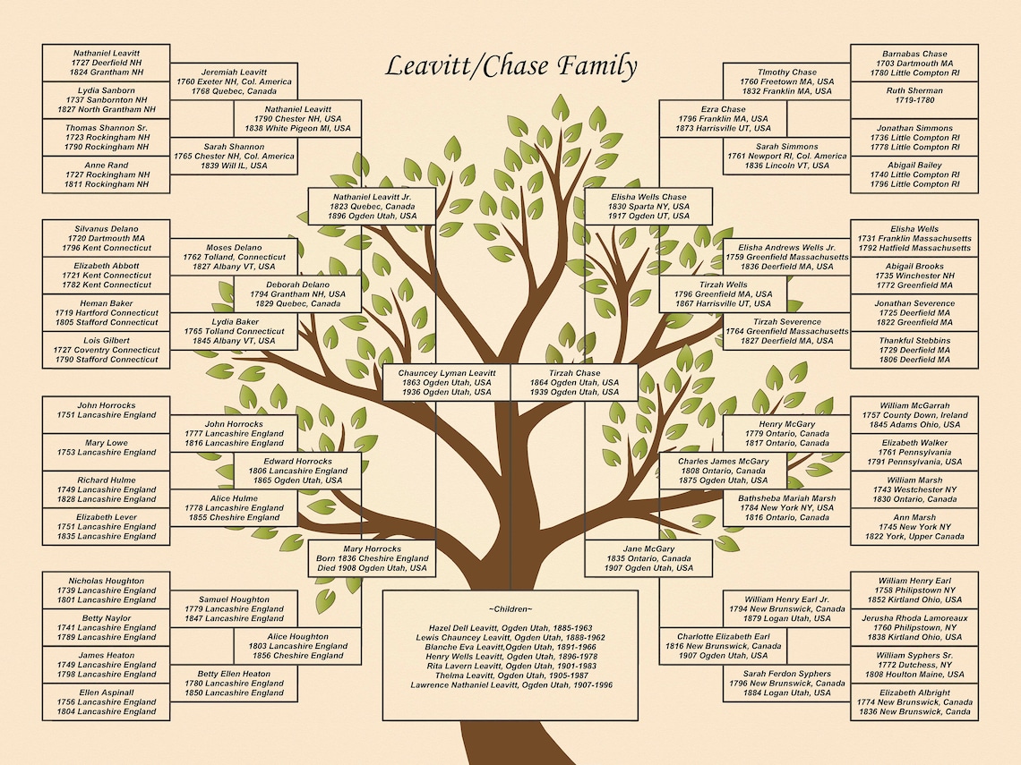 Six Generation Family Tree (DIY) 18x24 PDF Template (green Leaf) - Etsy