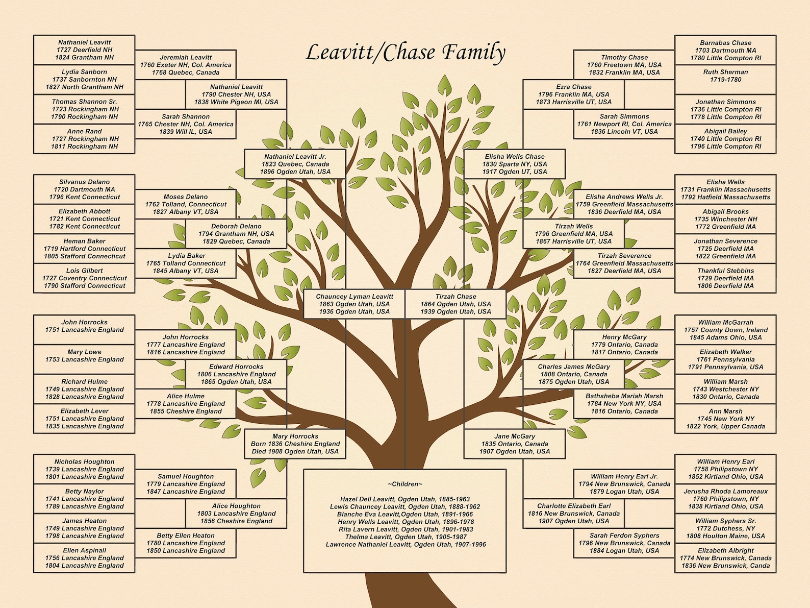 Six Generation Family Tree (DIY) 18x24 PDF Template (green Leaf) - Etsy