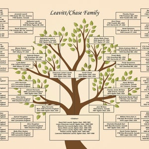 Six Generation Family Tree (DIY) 18x24 PDF Template (green Leaf) - Etsy