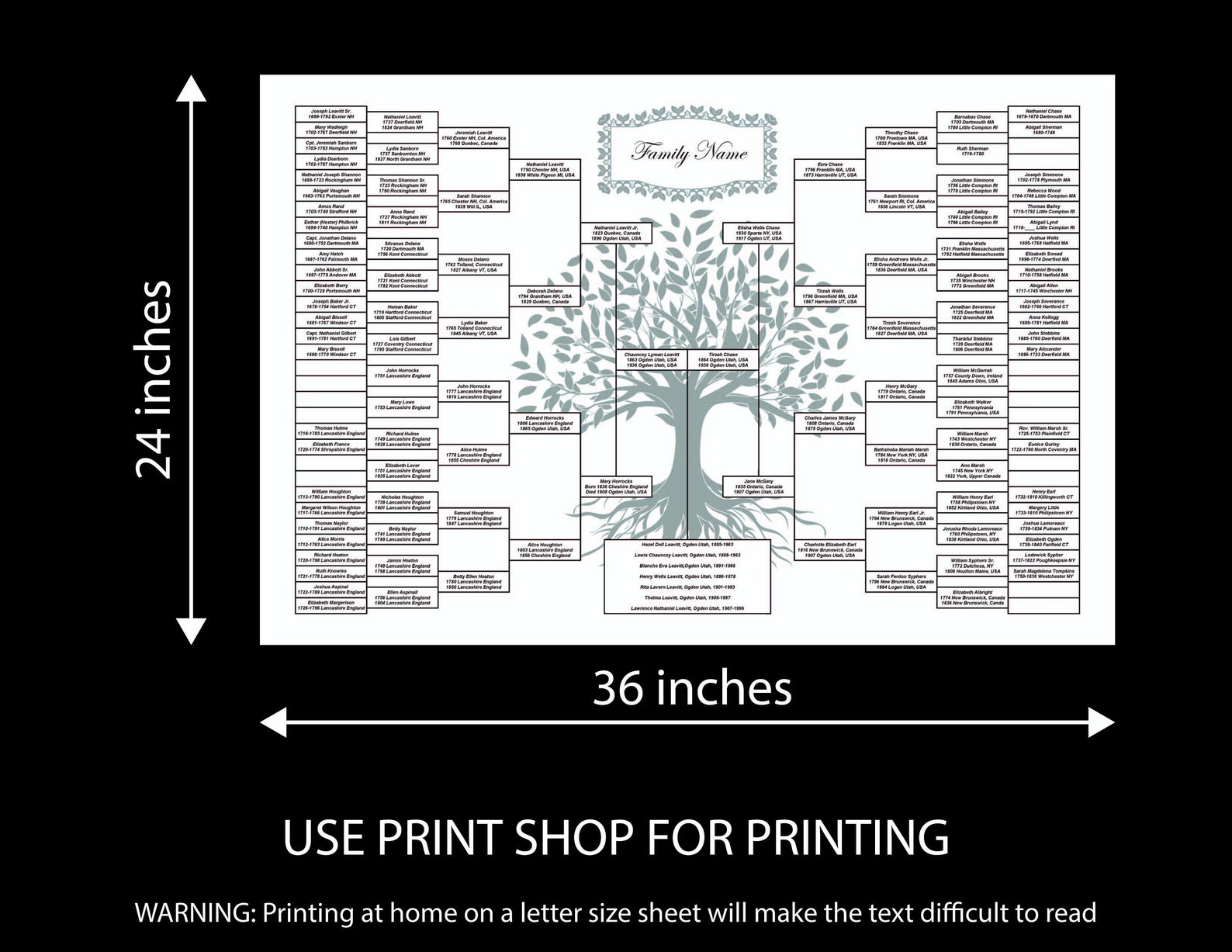 Seven Generation Family Tree DIY 24x36 PDF Template paper White - Etsy