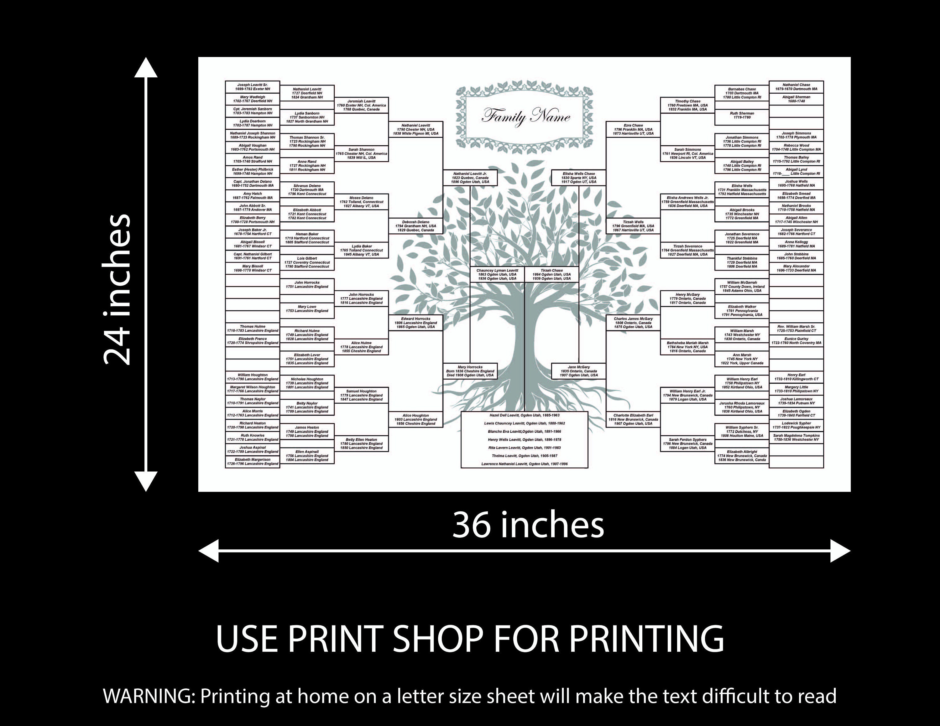 Seven Generation Family Tree (DIY) 24x36 PDF Template (paper White) - Etsy