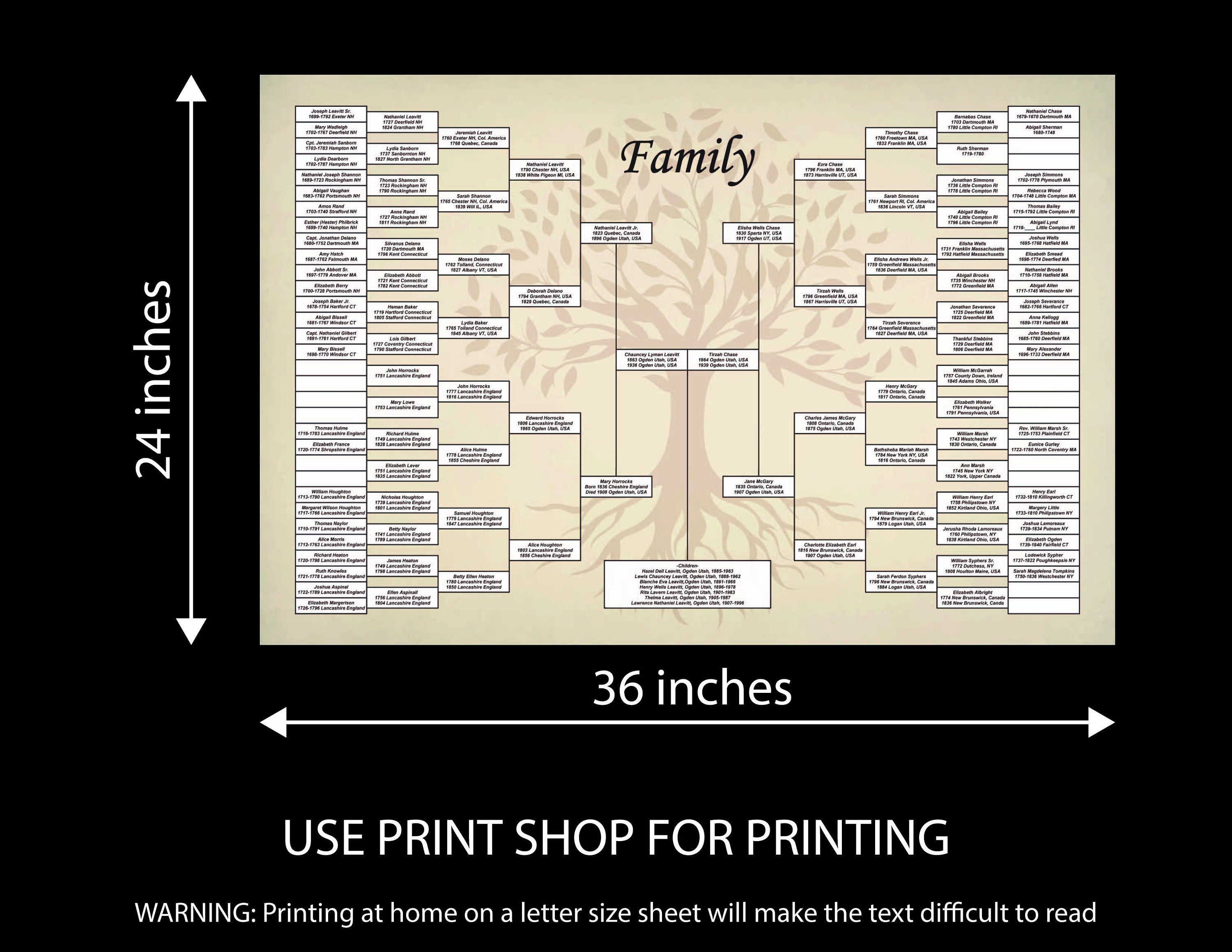 Seven Generation Family Tree (DIY) 24x36 PDF Template (tan) - Etsy