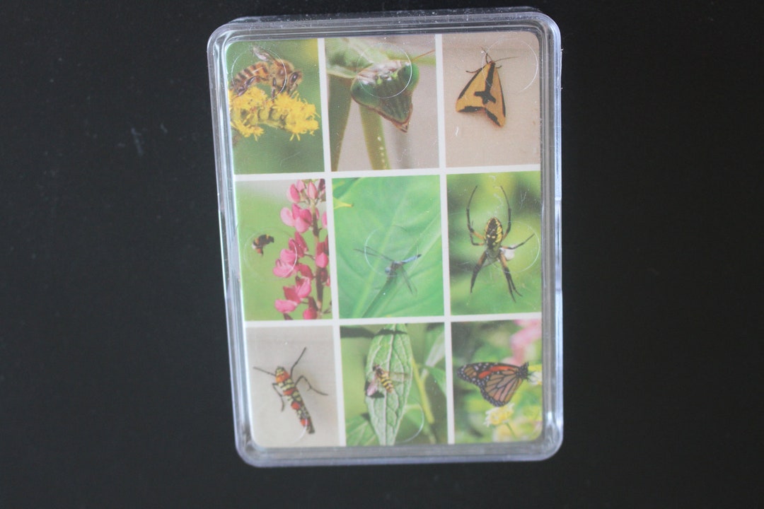 Insect Playing Cards - Etsy