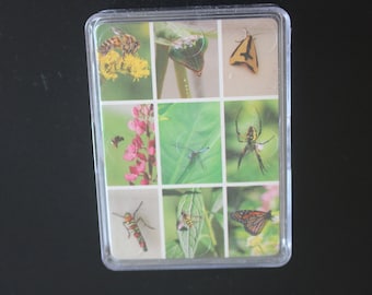 Insect Playing Cards - Etsy