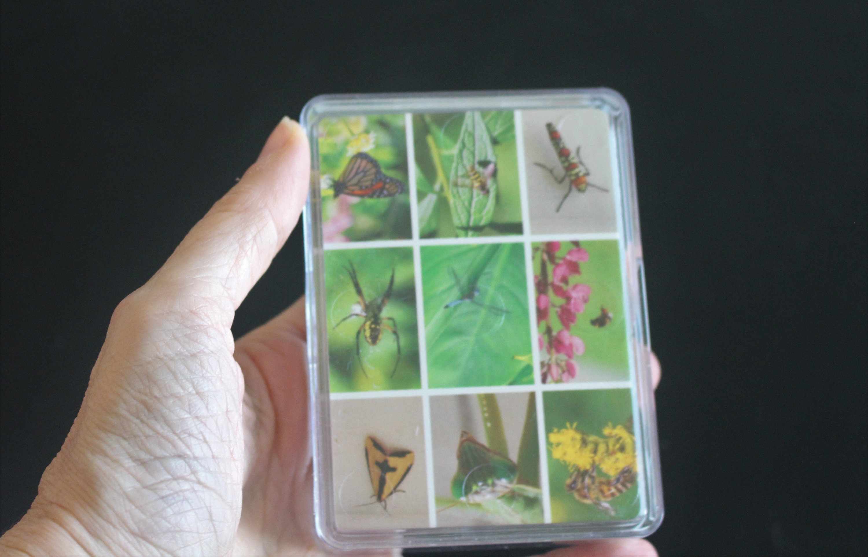 Insect Playing Cards - Etsy
