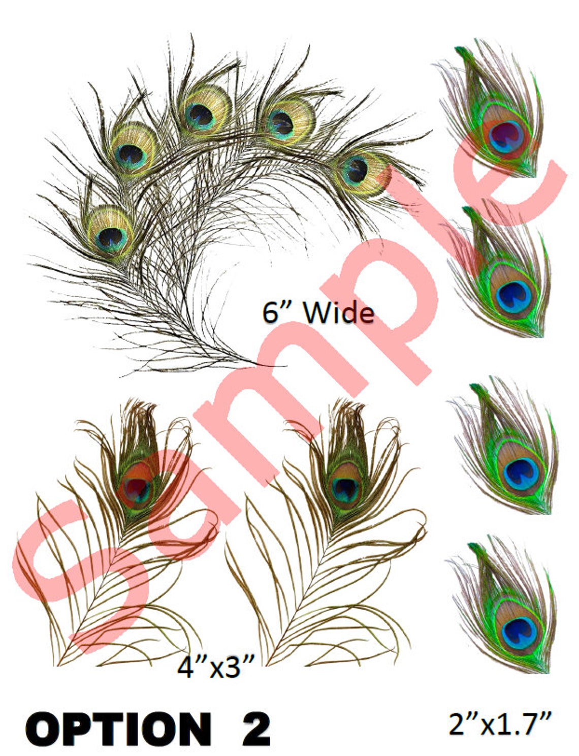 Wedding Cake Topper the Original EDIBLE Peacock Feathers Peacock ...