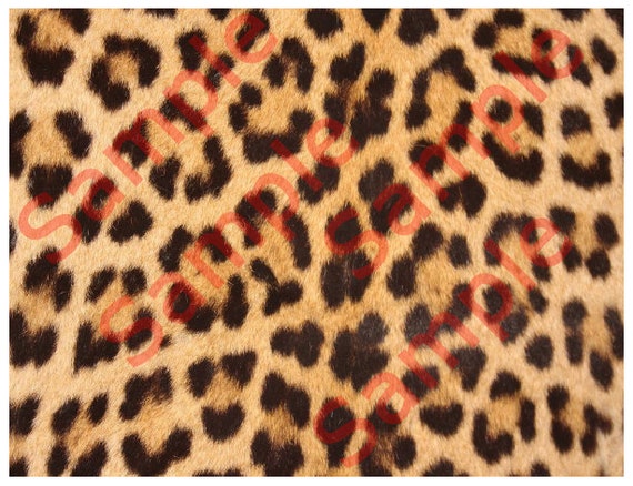 Leopard Print EDIBLE Image Cake Decorations Animal Cake | Etsy