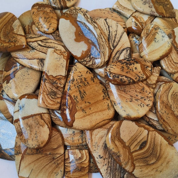 Owyhee Picture Jasper - Etsy