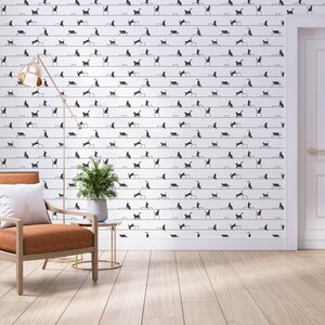 Black Cats Wallpaper | Removable Peel and Stick Wallpaper or Unpasted ...
