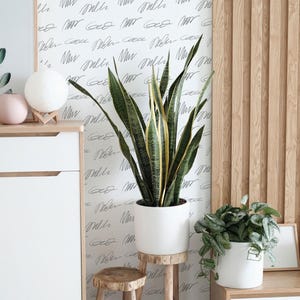 Handwriting Wallpaper | Ink Script Removable Peel and Stick Wallpaper ...