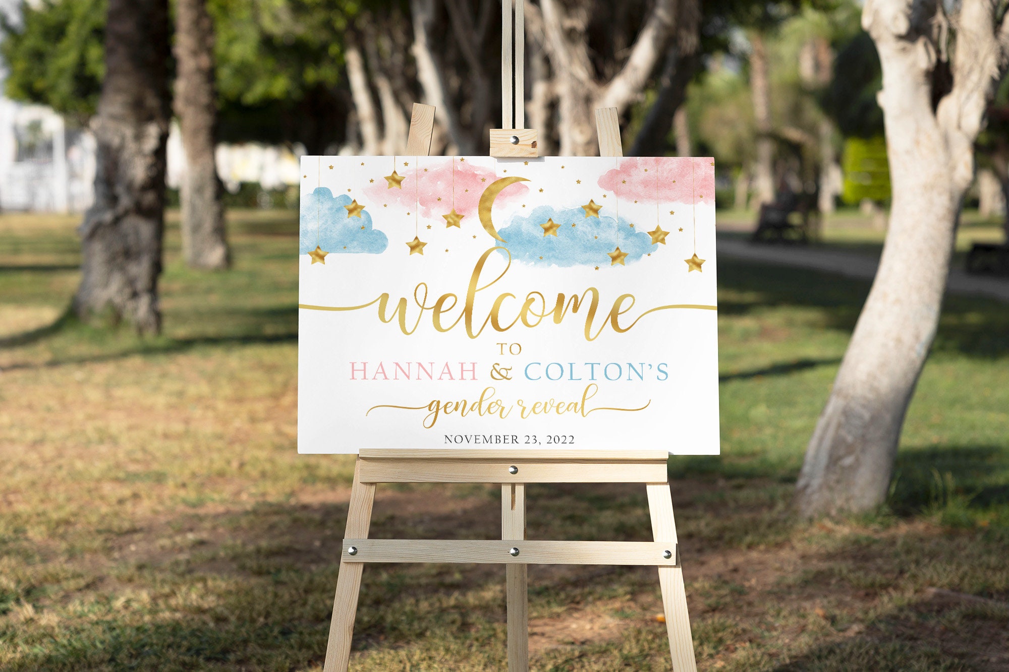 Twinkle Twinkle Little Star Gender Reveal Sign Moon and Stars - Etsy