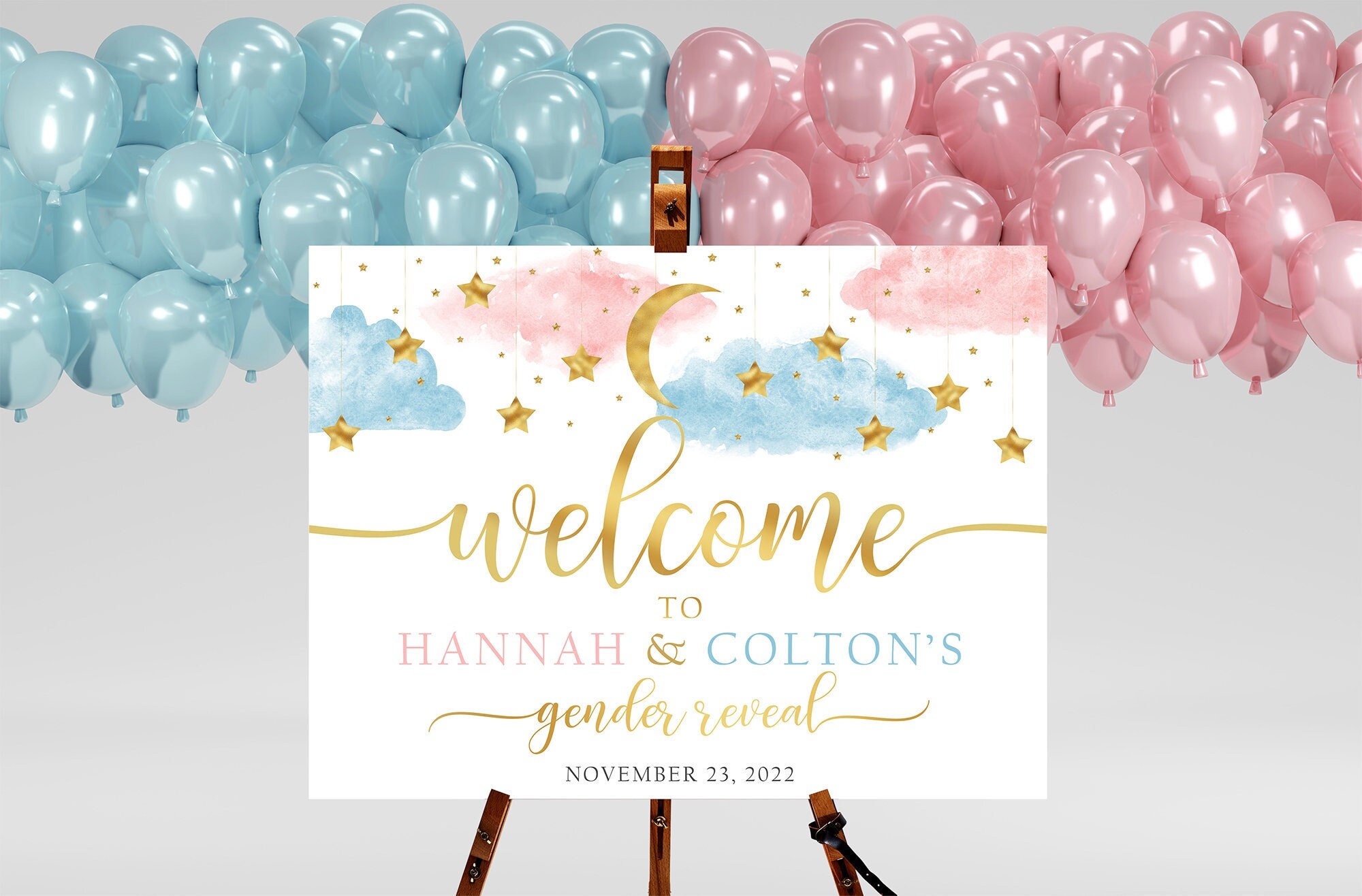 Twinkle Twinkle Little Star Gender Reveal Sign Moon and Stars - Etsy