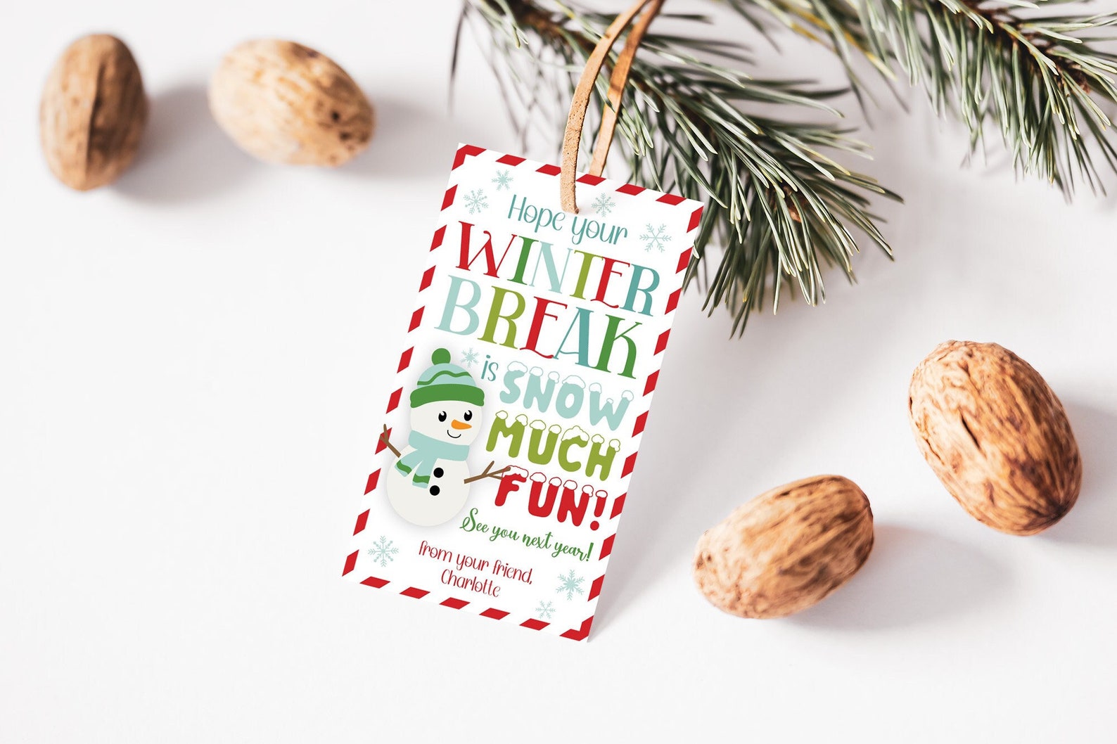 Hope Your Winter Break is Snow Much Fun Printable Gift Tag, Editable ...