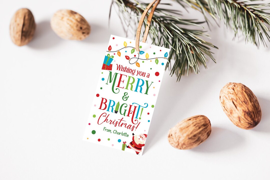 Printable Wishing You a Merry and Bright Christmas Gift Tag, Teacher ...