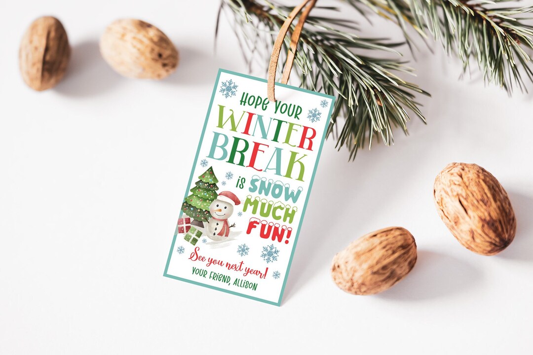Hope Your Winter Break is Snow Much Fun Printable Gift Tag, Editable ...
