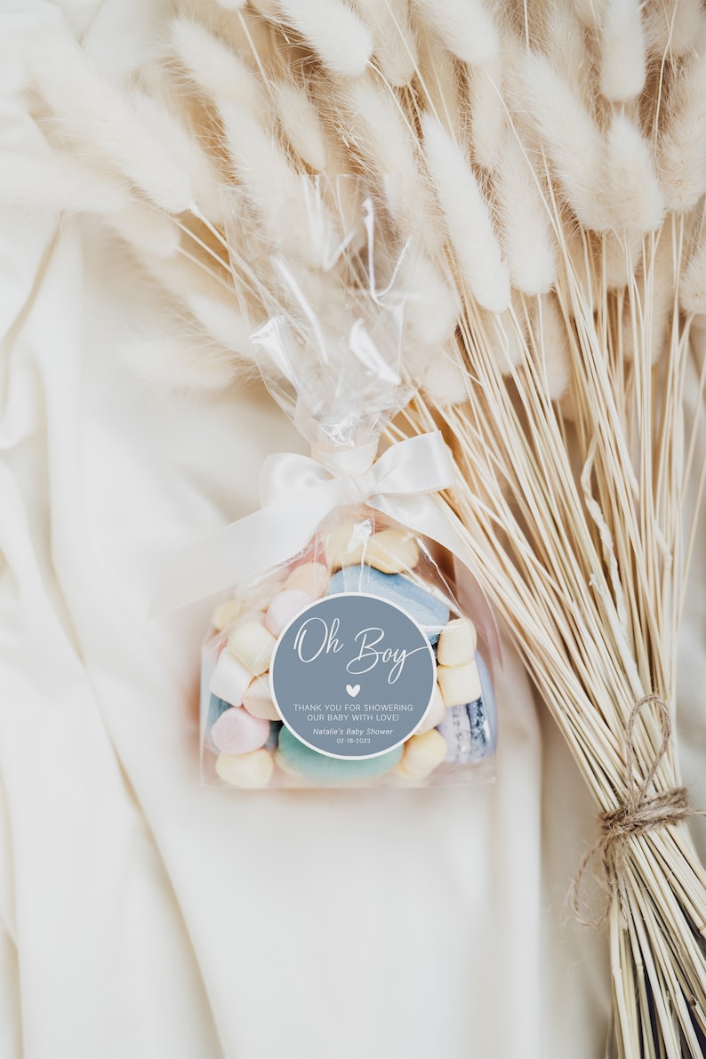 Blue Baby Shower Favor Labels, Baby Boy Baby Shower Stickers, Baby ...