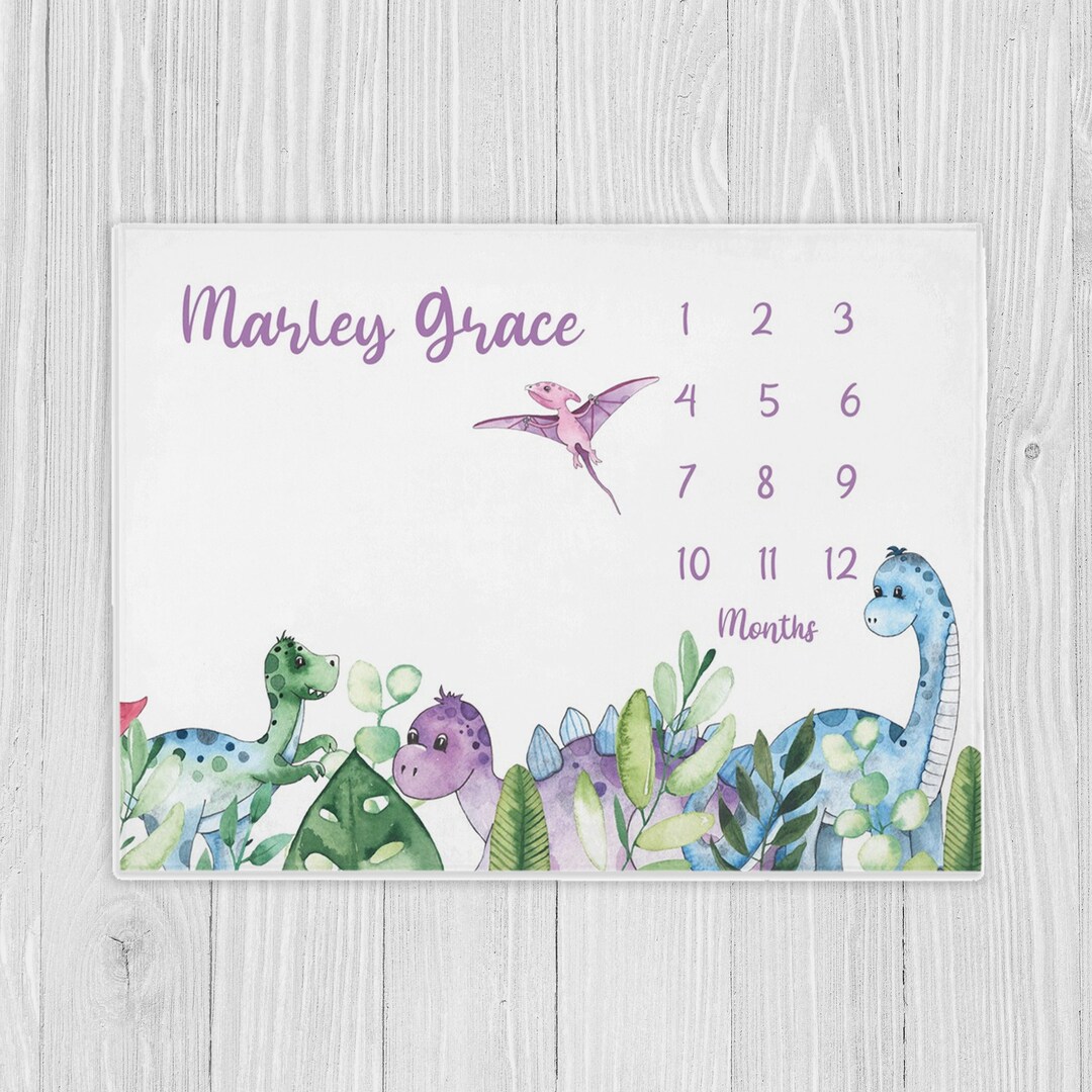 Dinosaur Milestone Blanket, Baby Girl Milestone Blanket, Baby Shower ...