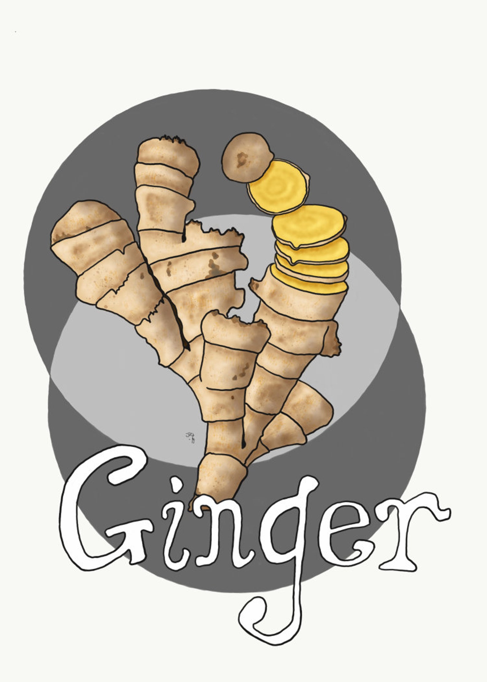 Gift for Cook, Custom Set of Illustrated Spice Jar Labels, Spice Tin ...