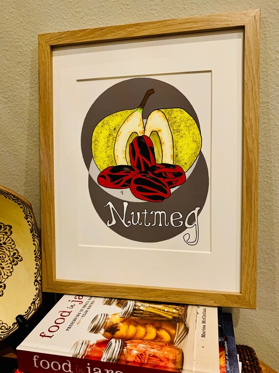 8x10 Colorful Nutmeg Giclee Print Foodie Gift Nutmeg Print - Etsy