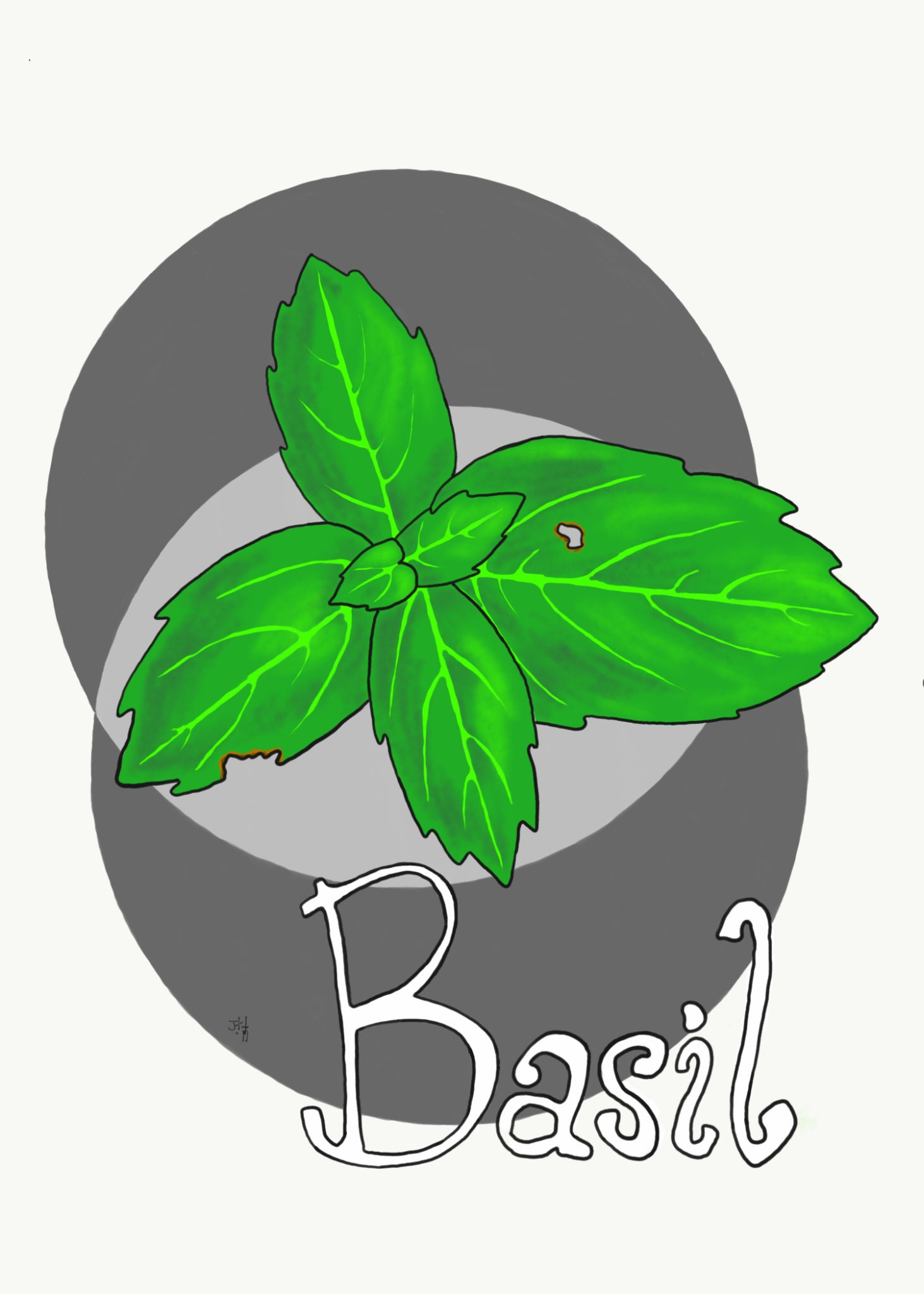 Culinary Prints, Set of 8x10 Herbs and Spices Prints, Prints for the ...