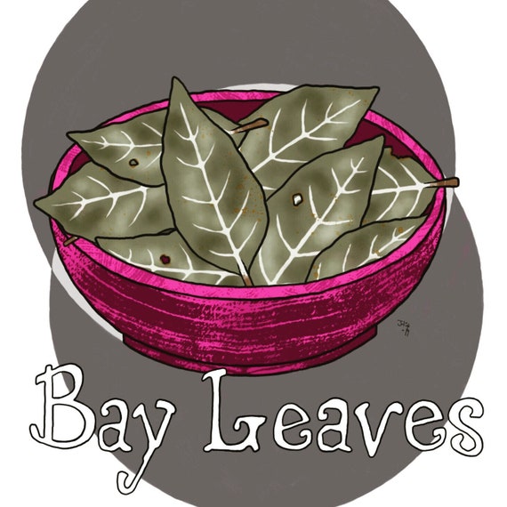 Bay Leaves Card Hand Drawn Holiday Card Dinner Invite | Etsy