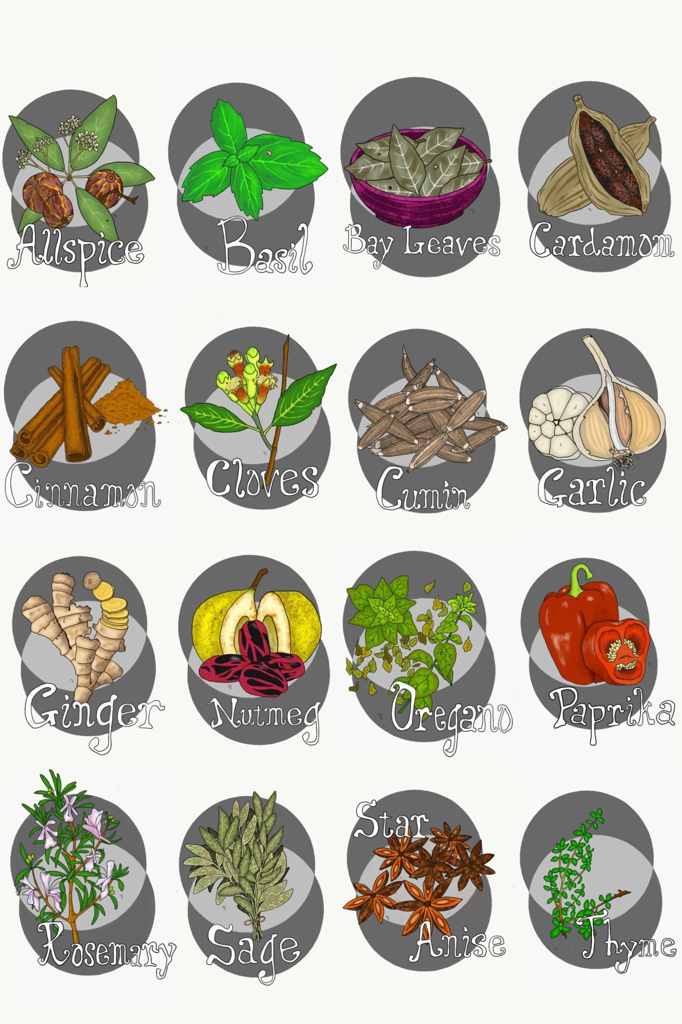 Gift for Cook, Custom Set of Illustrated Spice Jar Labels, Spice Tin ...