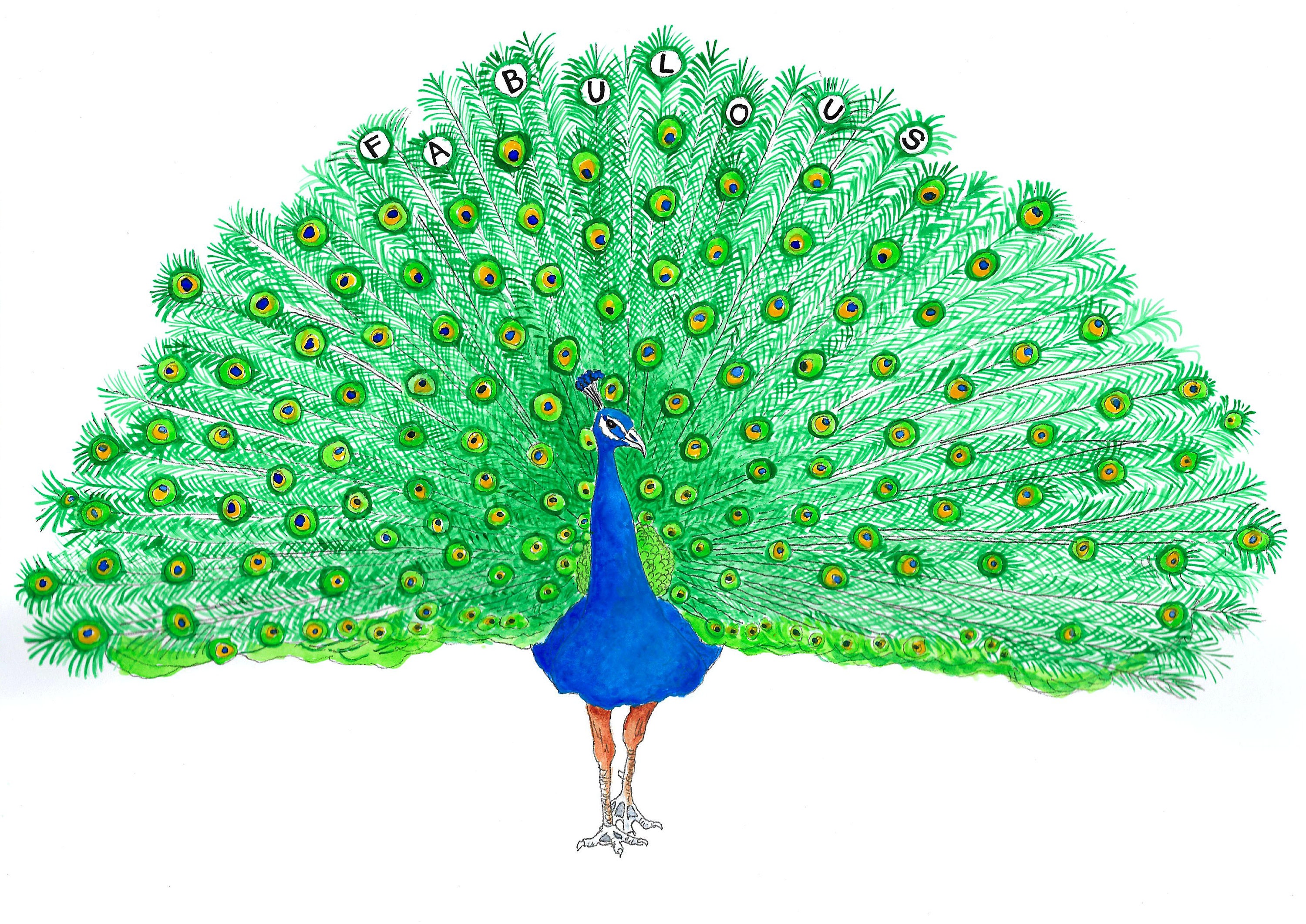 Peacock Print - Etsy