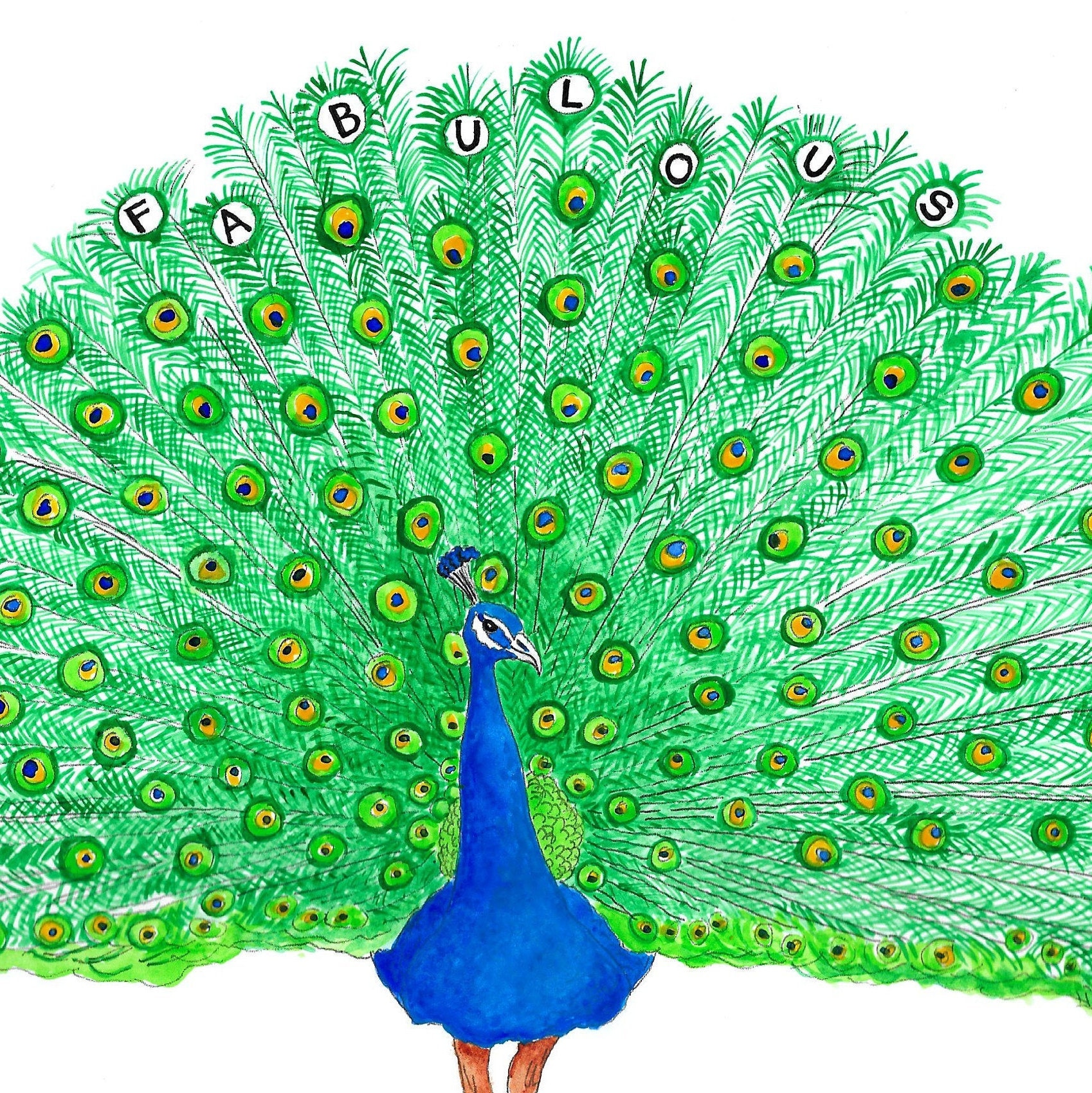 Peacock Print - Etsy