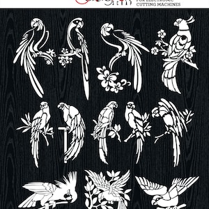 12 Parrot Bird Digital Stencil Templates SVG DXF Vector Files Mylar ...